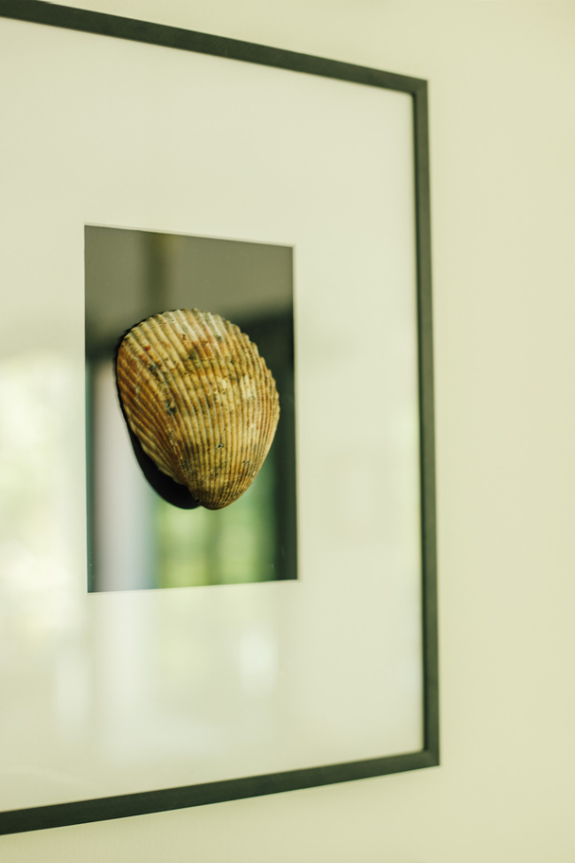 DIY Shell Art Collection Gallery Wall